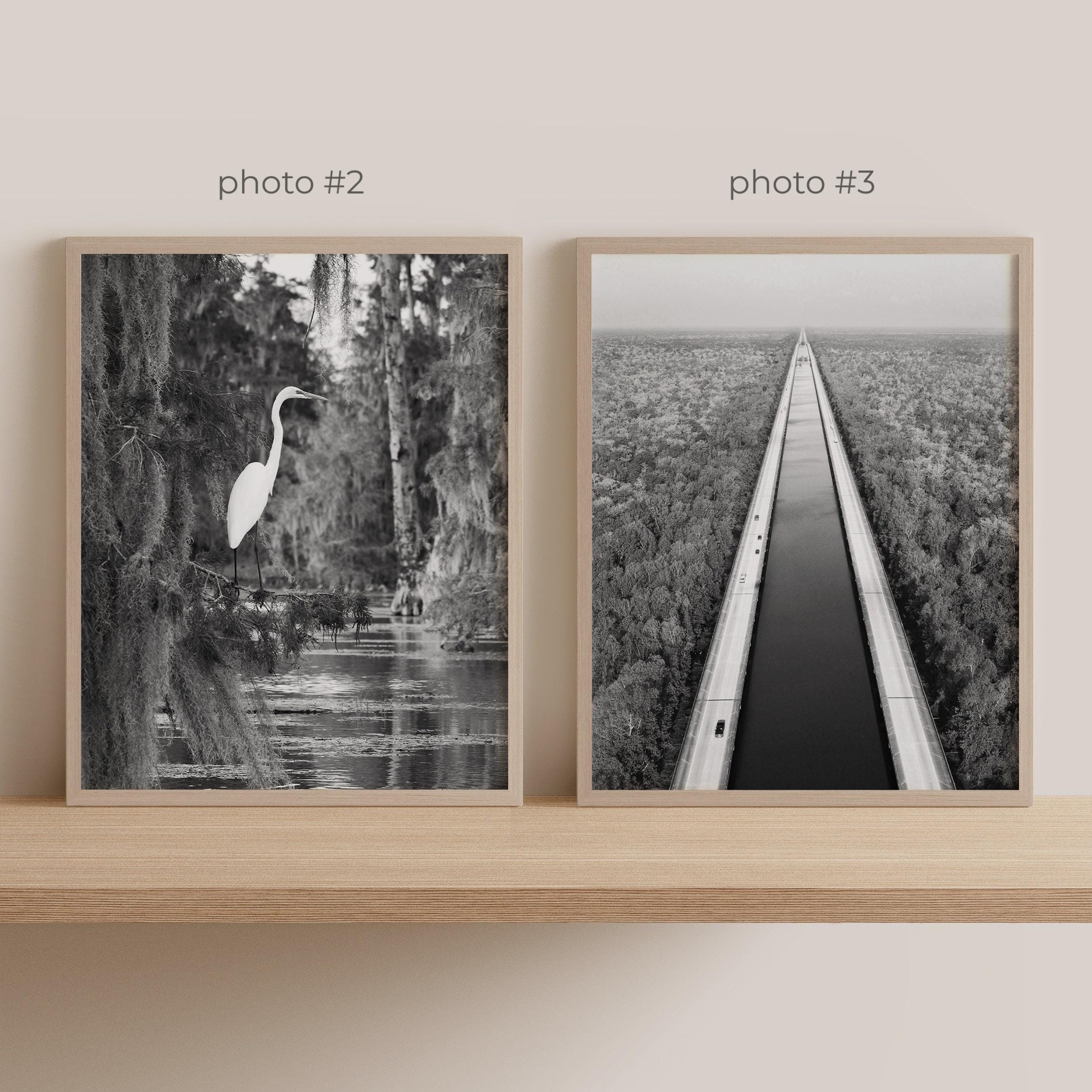 Louisiana Gallery Wall Art - Set of 6, Louisiana Black and White Photo ...