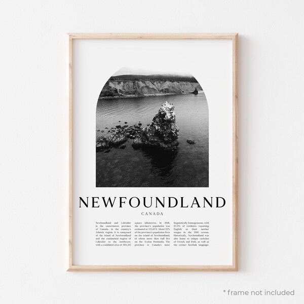 Black and White Newfoundland Wall Art - Etsy