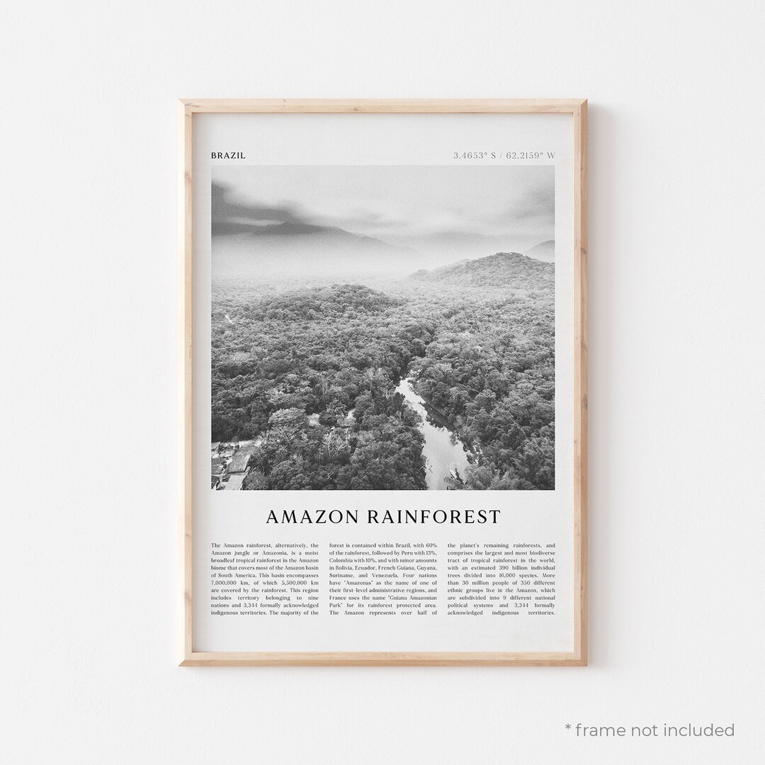 Amazon Rainforest Art Print, Amazon Rainforest Poster, Amazon ...