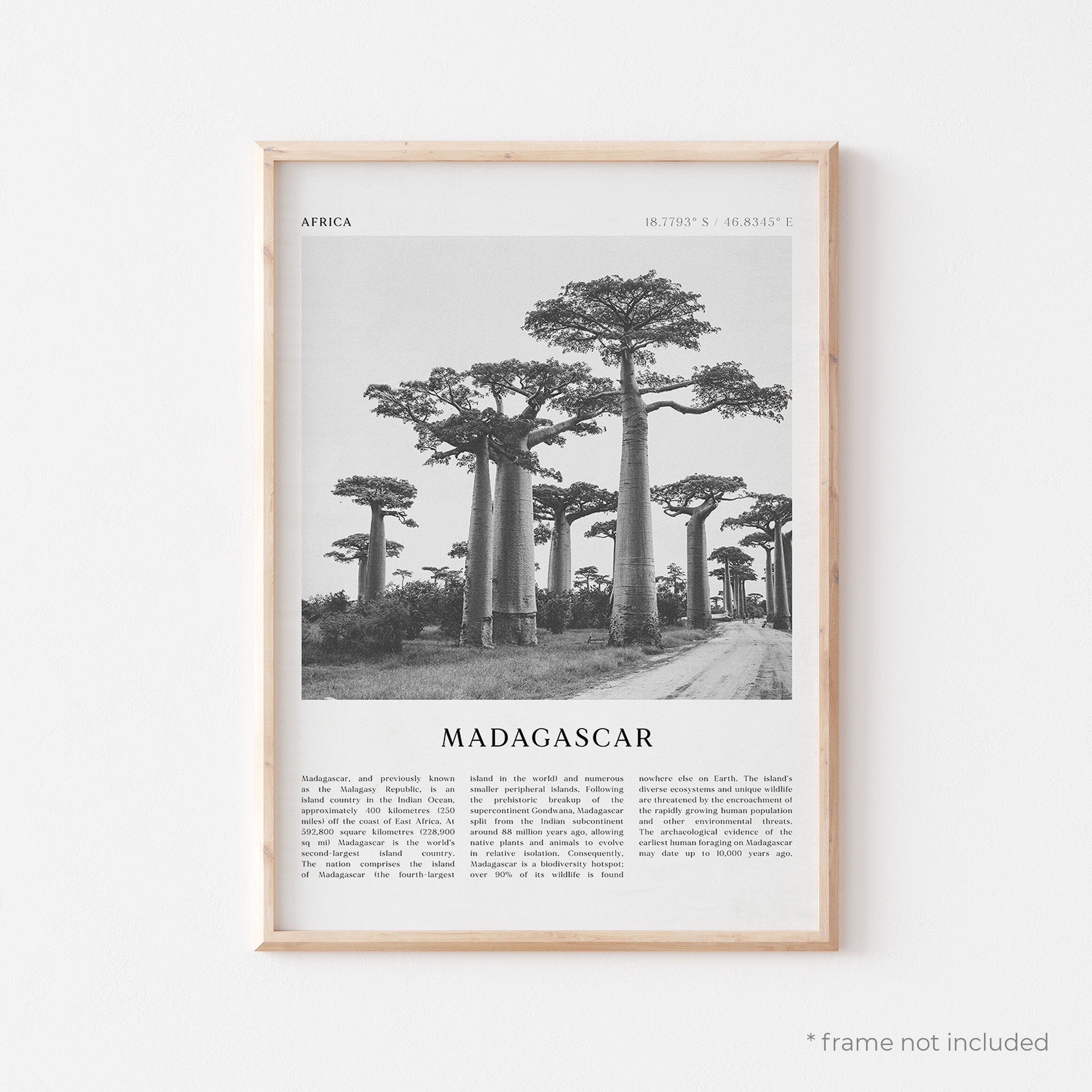 Madagascar Art Print Madagascar Poster Madagascar Photo | Etsy