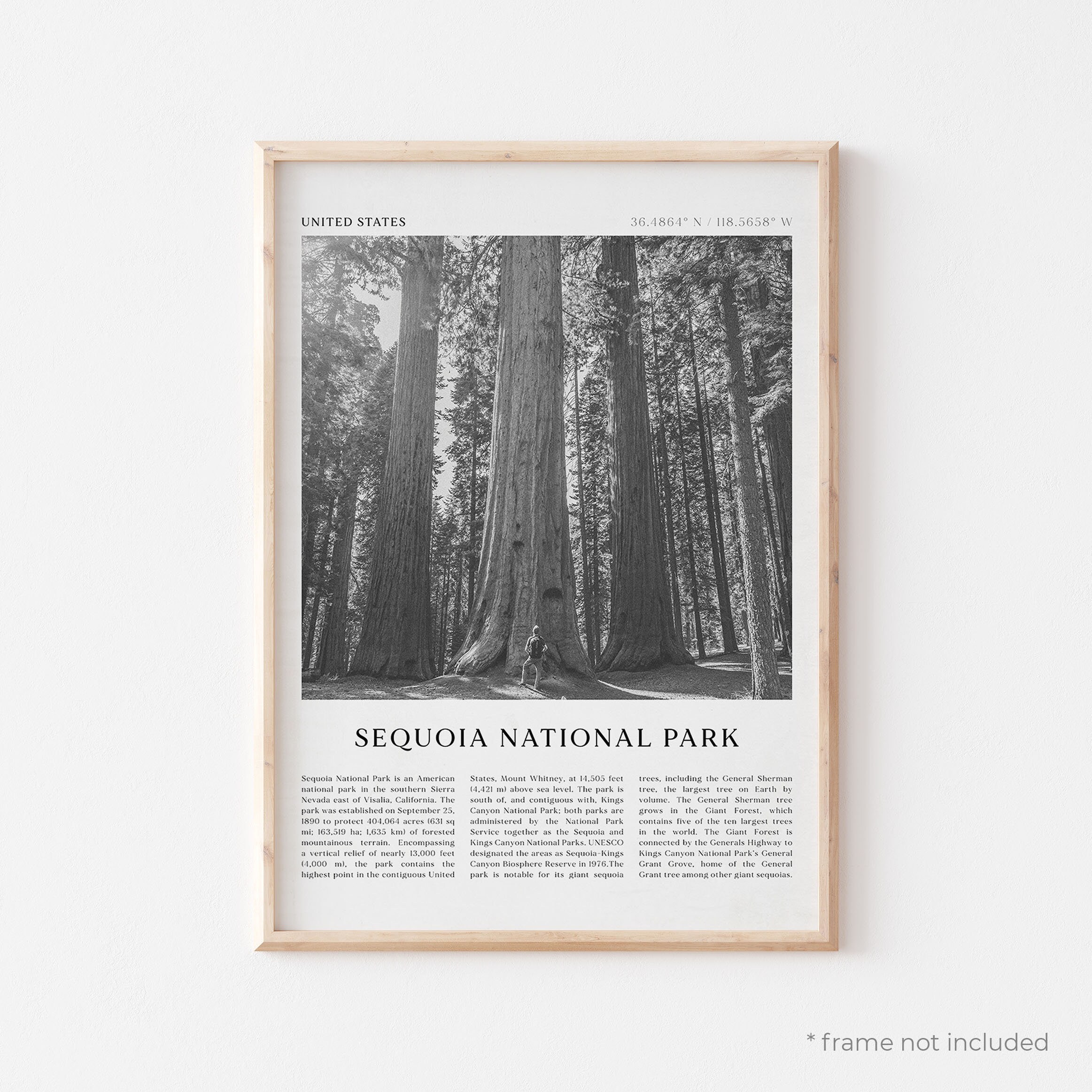 Sequoia National Park Art Print Sequoia National Park Poster - Etsy