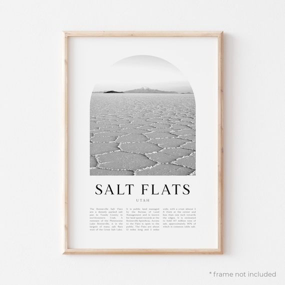 Salt Flats Art Print Salt Flats Poster Salt Flats Photo - Etsy