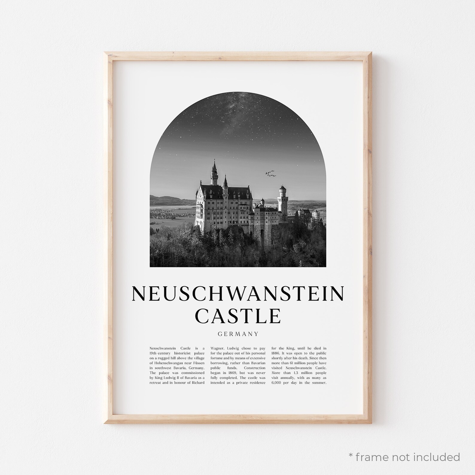 Neuschwanstein Castle Art Print Neuschwanstein Castle Poster - Etsy