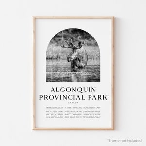 Algonquin Provincial Park Illustrated Map - Etsy Canada