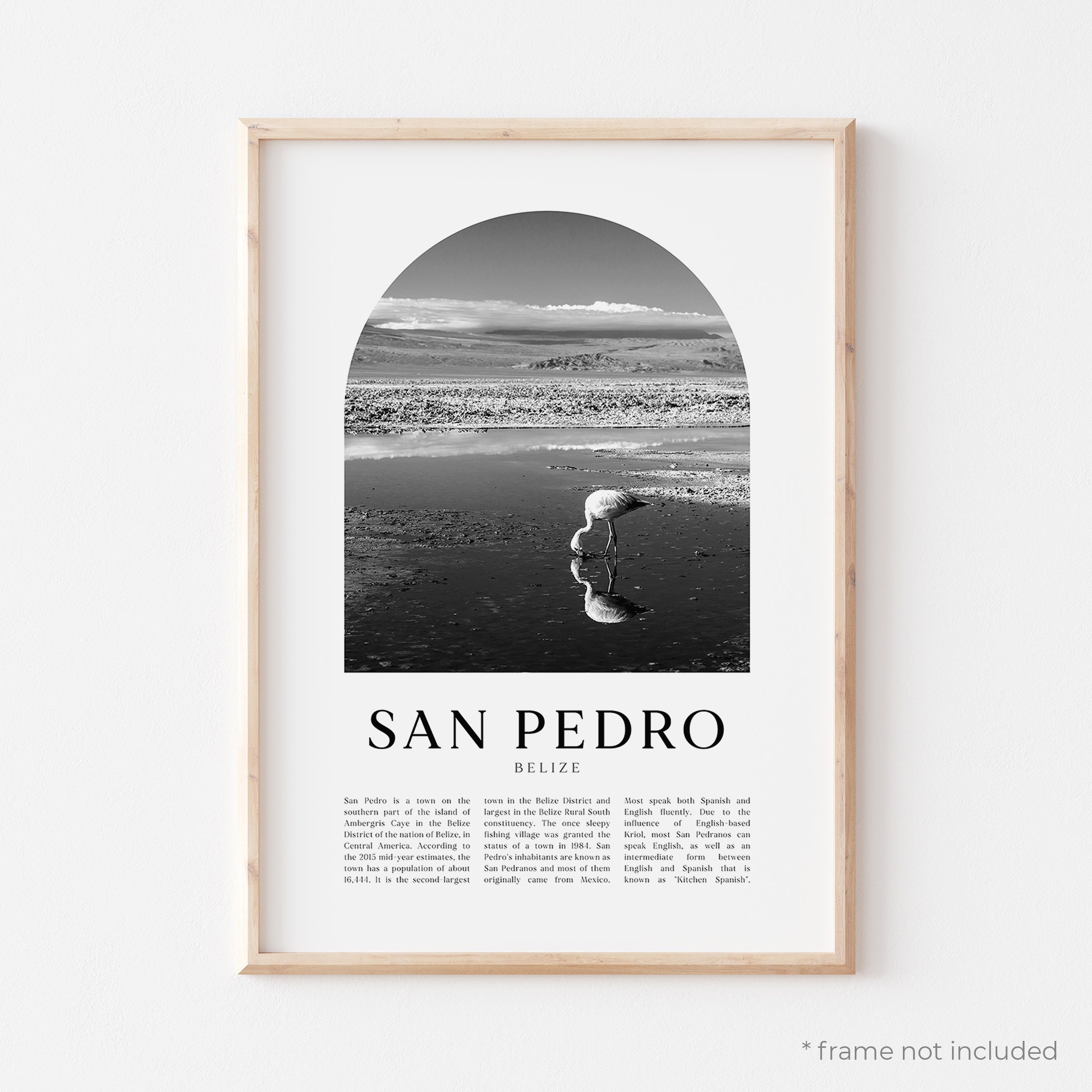 San Pedro Art Print San Pedro Poster San Pedro Photo San | Etsy