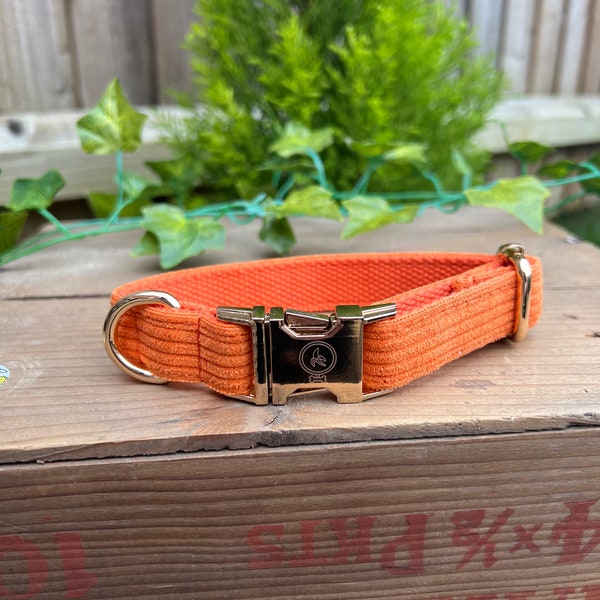 Orange Dog Collar - Etsy