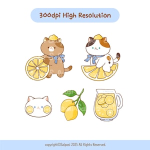 Cat Clipart, Lemon Clipart, Summer Clipart, Kawaii Clipart, Cat PNG ...