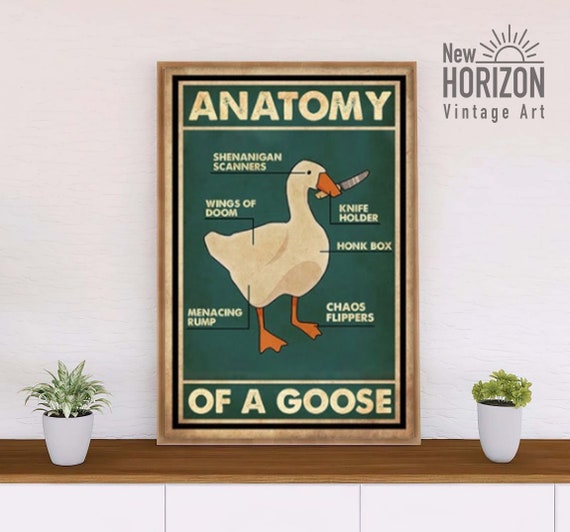 Goose Anatomy