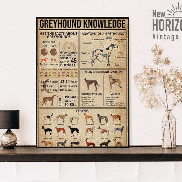 Greyhound Poster - Etsy