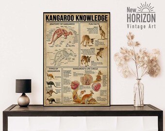 Anatomy of Kangaroo Poster - Etsy