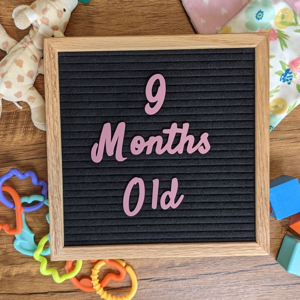 Baby Monthly Board - Etsy