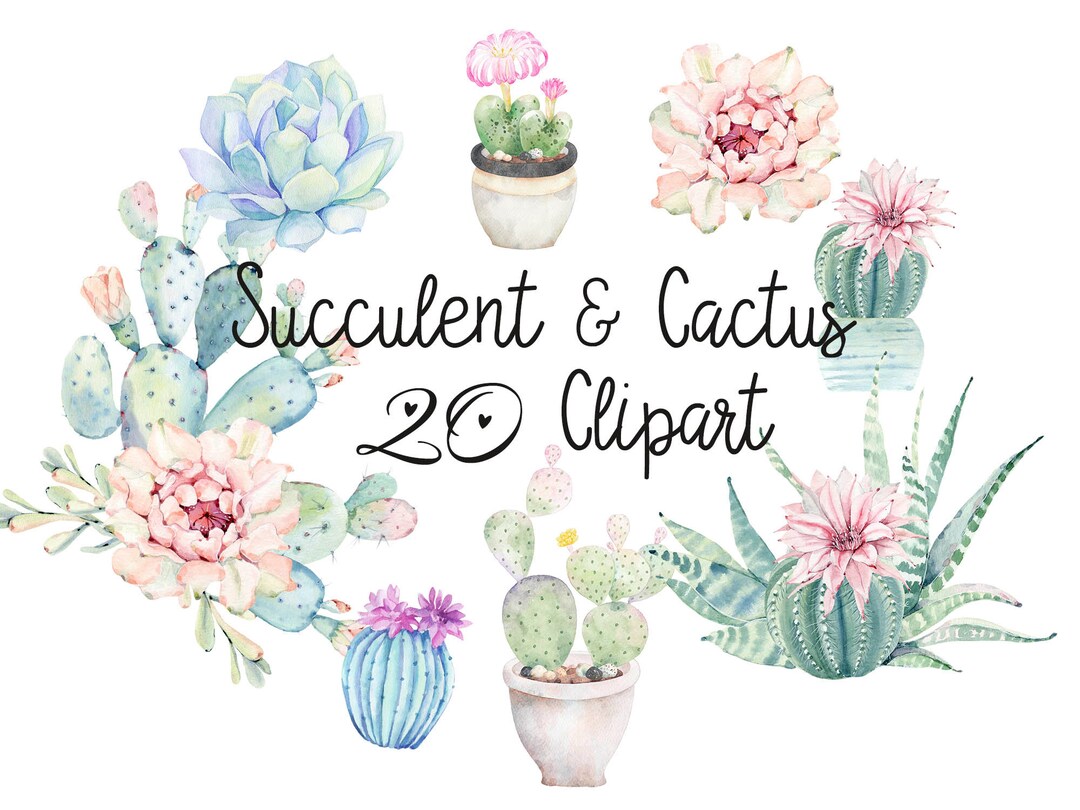 Watercolor Succulent Cactus Clipart,succulent Watercolor Clipart,cactus ...