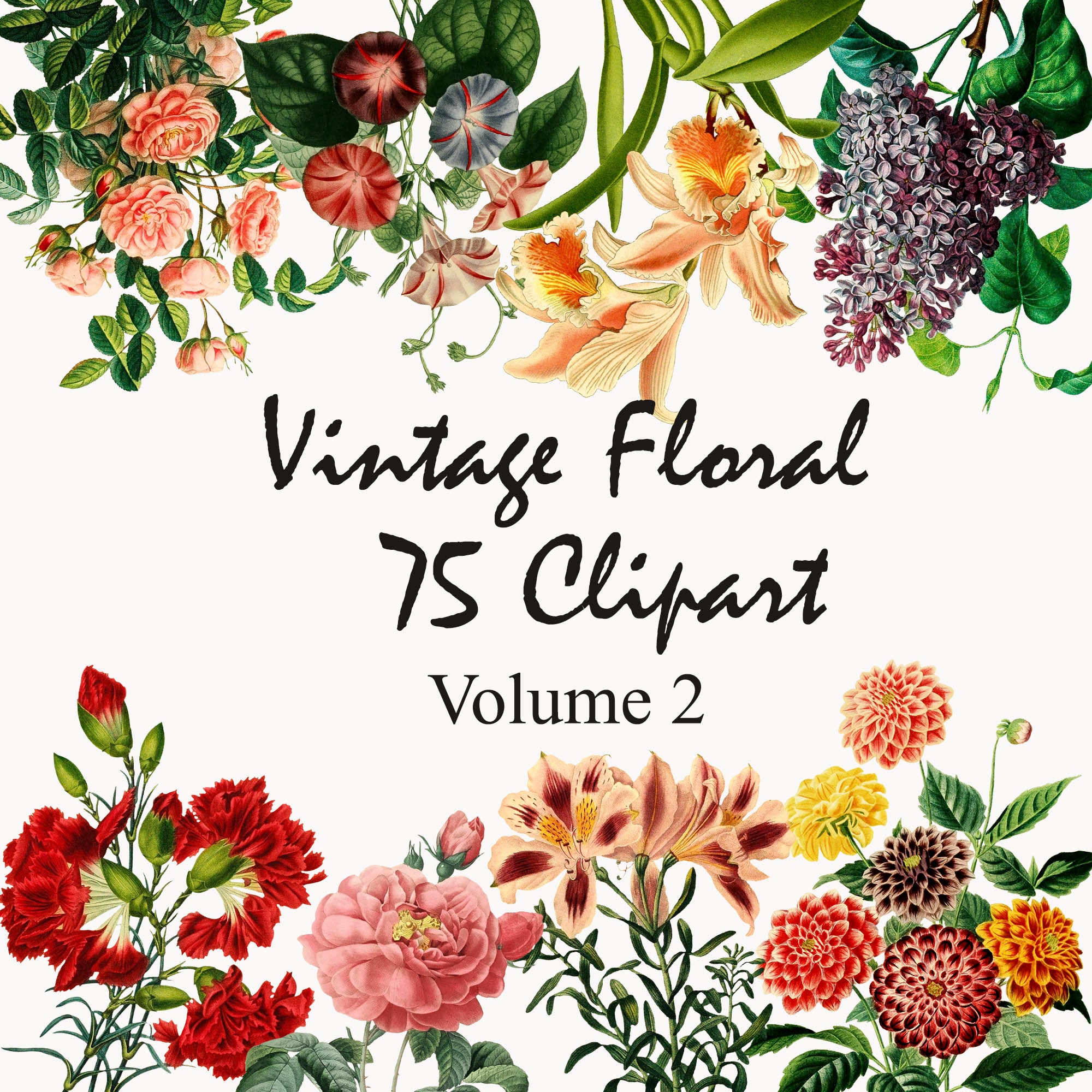 Floral Clipart,vintage Flower Clipart,victorian Floral Clip Art, 300 ...