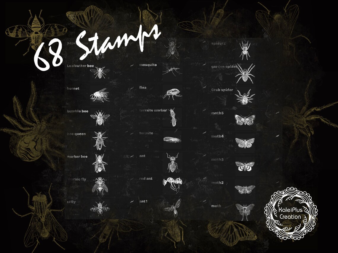 Insects Procreate Brushes Stamps,procreate Brushsets With Scarab ...
