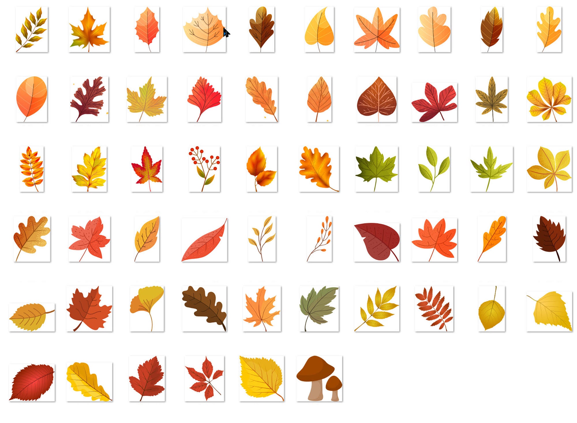 Fall Leaf Clipart, Clipart, Autum Leaves Watercolor Clipart, Fall ...