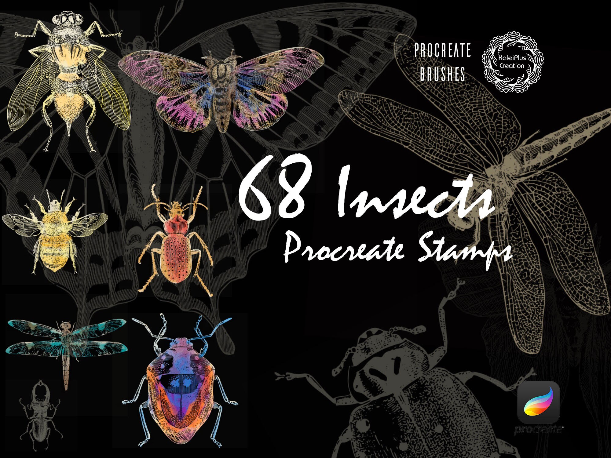 Insects Procreate Brushes Stamps,procreate Brushsets With Scarab ...