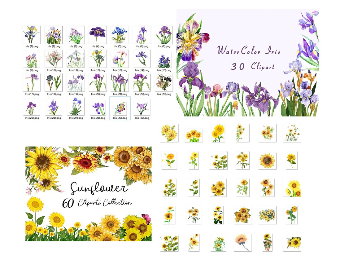 Flower Watercolor Clipart Design Bundle, Flower Clipart Collections ...
