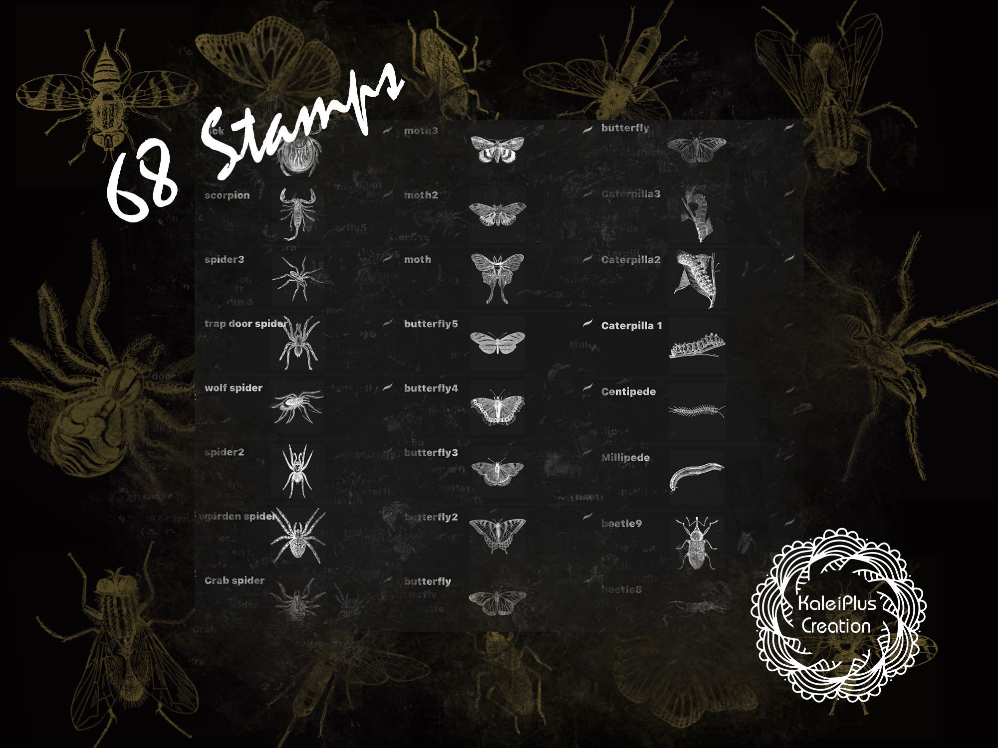 Insects Procreate Brushes Stamps,procreate Brushsets With Scarab ...