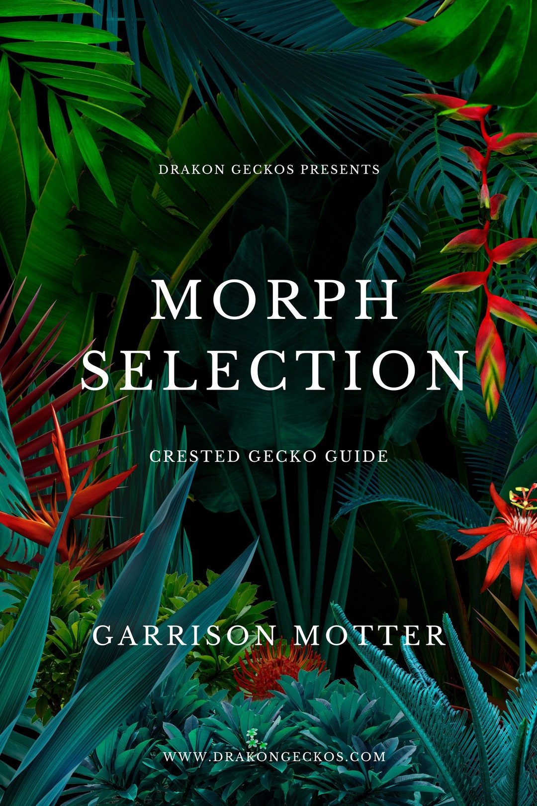 Drakon Geckos Digital Bundle of Ebooks and Guides A Reptile's ...