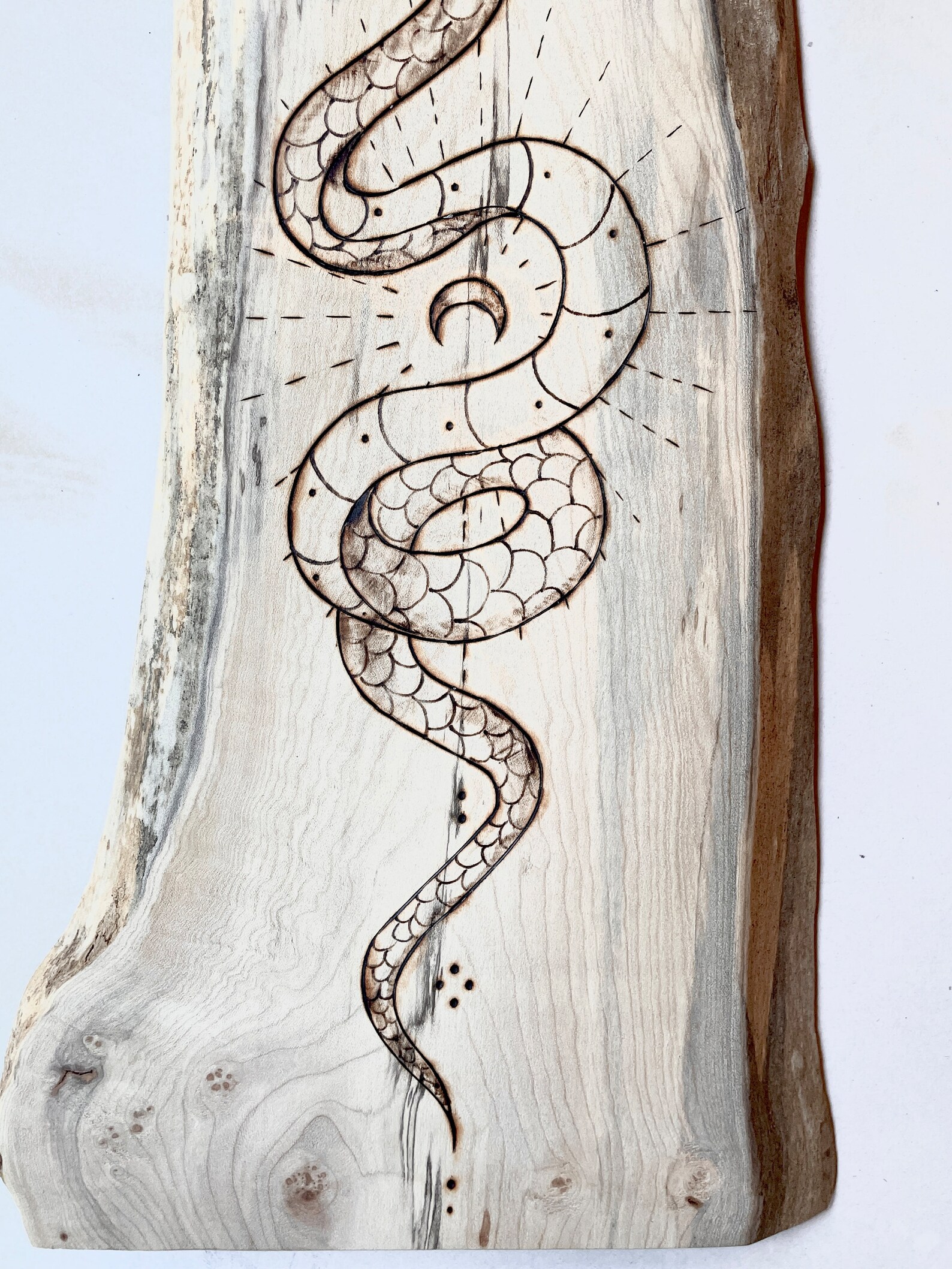 Eternal Snake - Etsy