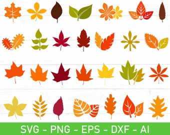 Autumn Leaves Svg Fall Leaves Svg Autumn Colors Autumn - Etsy