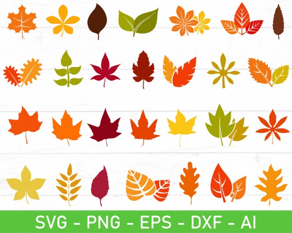 Autumn Leaves Svg Fall Leaves Svg Fall Leaf Svg Eps Dxf | Etsy