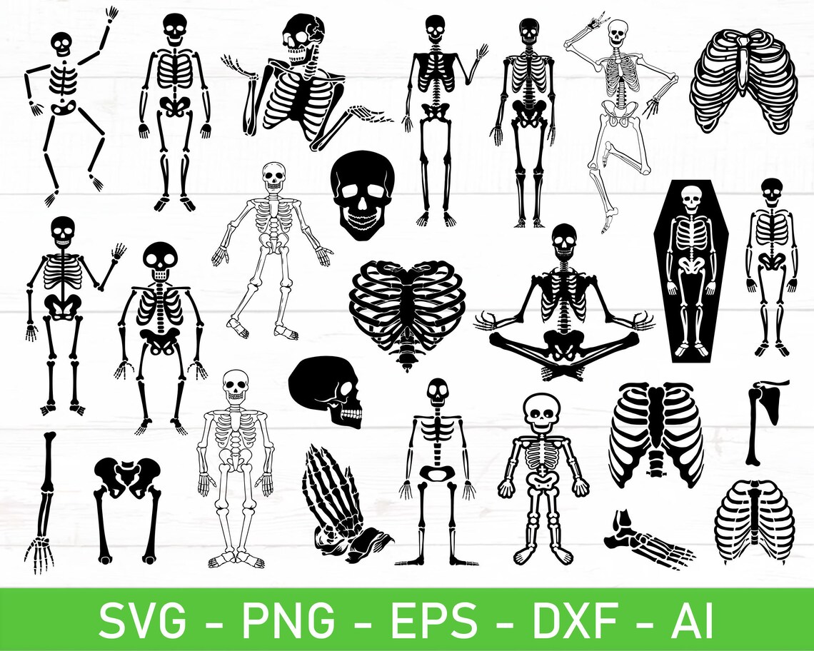 Skeleton Svg Bundle Eps Dxf Ai Png Files for Cricut - Etsy