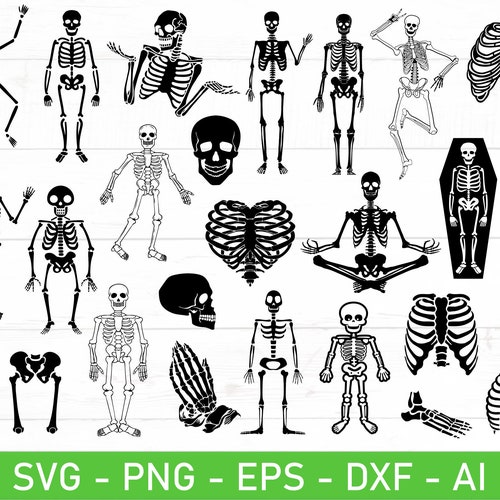Skeleton Svg Bundle Eps Dxf Ai Png Files for Cricut - Etsy
