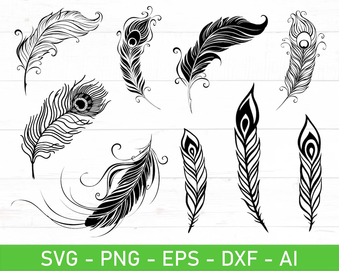 Peacock Feather Svg, Eps, Dxf, Ai, Png, Files for Cricut - Etsy
