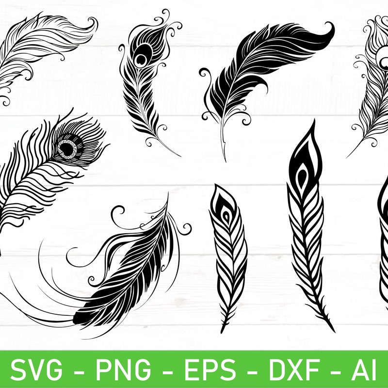 Peacock Feather Svg - Etsy