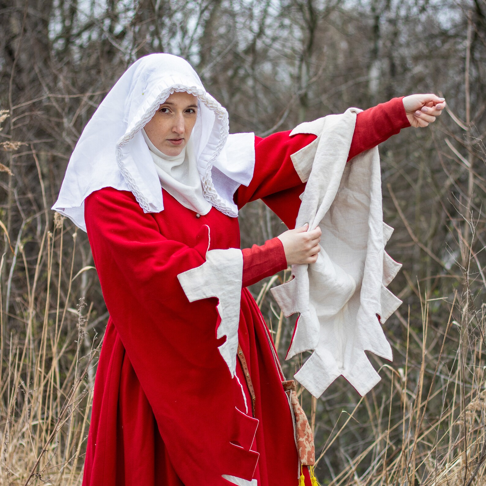 Houppelande - Medieval Dress for Women - 14th & 15th Century Fashion ...