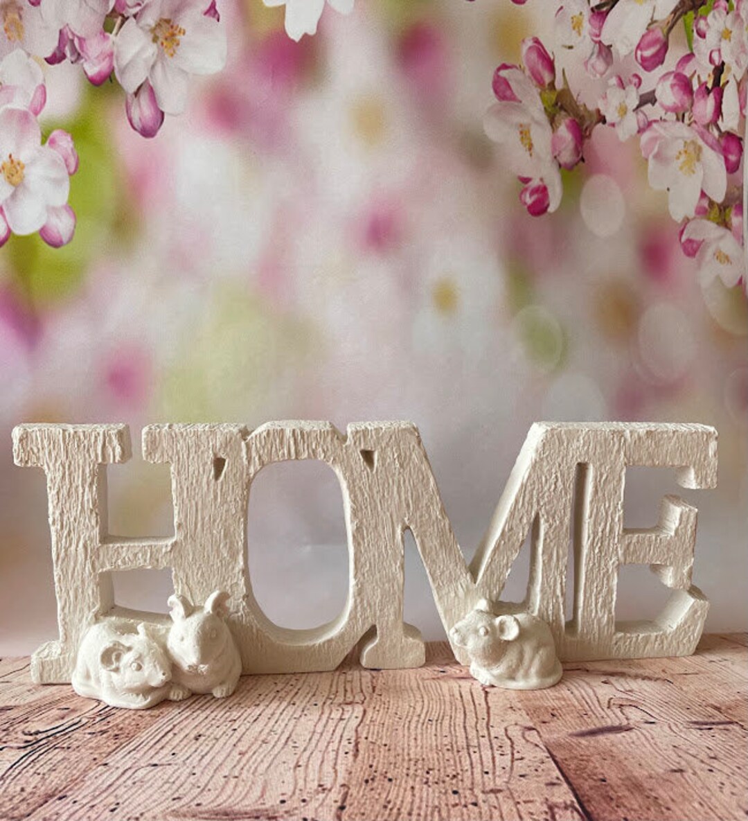 Ready to Paint, Unfinished Gypsum Home Sign, Home Décor, Custom Raw ...