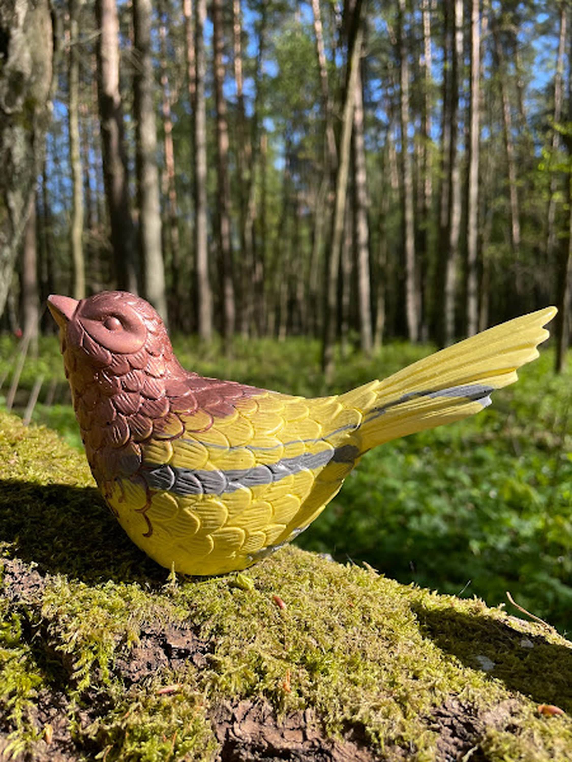 Not Angry Birds, Colorful, Happy Birds Statue, Figurine, Handmade ...