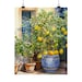 Sicilian Lemon Print Mediterranean Art Lemon Tree Sicily Print Italian ...