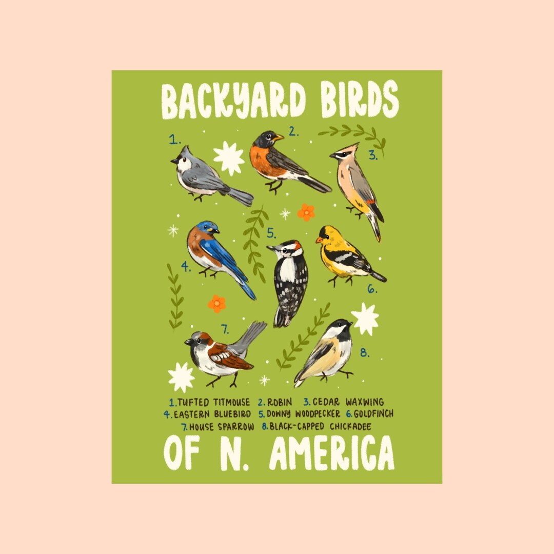 Backyard Birds of North America 8x10" Print - Etsy