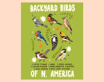 Backyard Birds of North America-illustration Print - Etsy