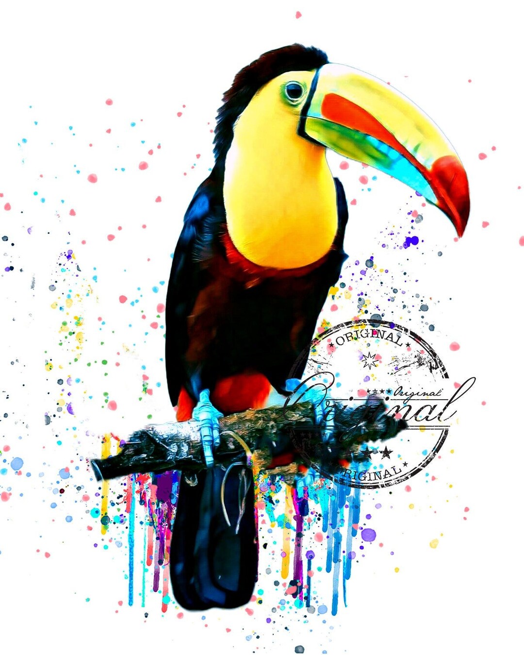 BIRD Png, BIRD Watercolor Sublimation Digital Download, BIRD ...