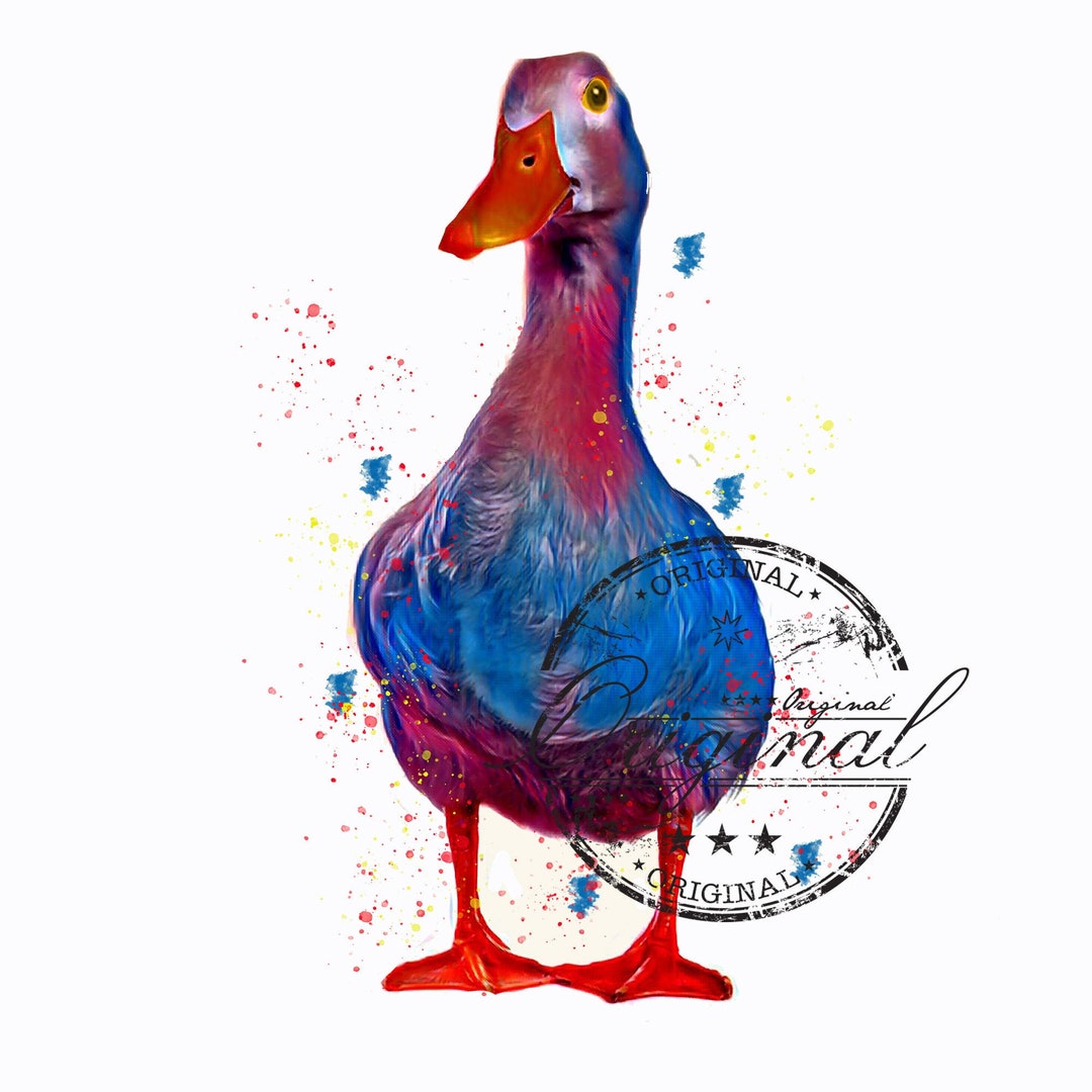 Duck Png, Duck Watercolor Sublimation Digital Download, Duck ...