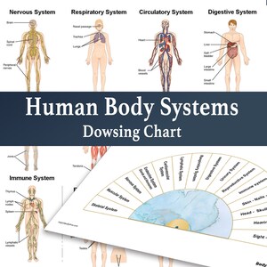 Body Systems Chart Digital Download Pendulum Chart | Etsy