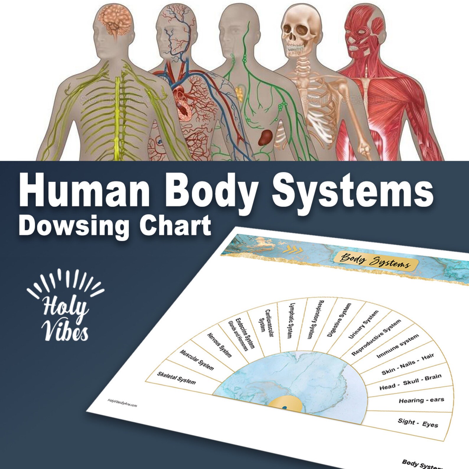 Body Systems Chart Digital Download Pendulum Chart | Etsy