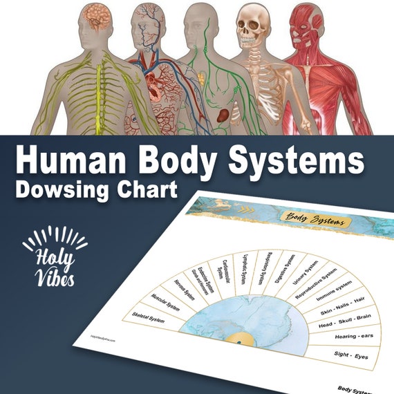 Body Systems Chart Digital Download Pendulum Chart | Etsy