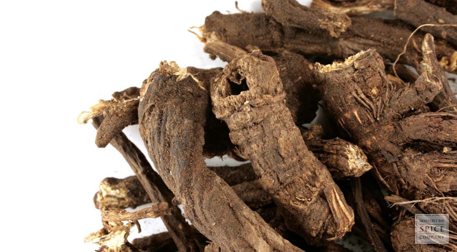 Bear Root osha Root 1 Ounce - Etsy