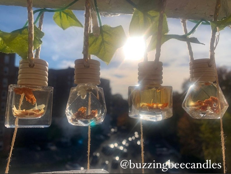 Scented Car Diffuser and Freshener Hanging • Car Accessories • Diffuser ...