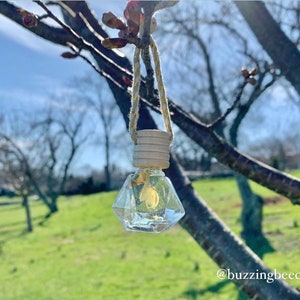 Scented Car Diffuser and Freshener Hanging • Car Accessories • Diffuser ...