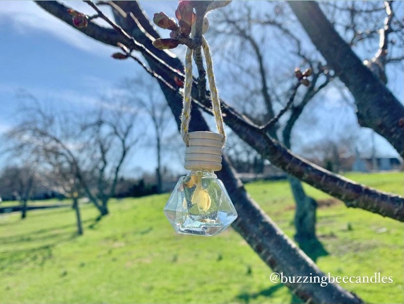 Scented Car Diffuser and Freshener Hanging • Car Accessories • Diffuser ...