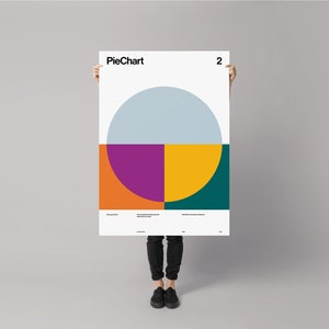 The Basics of Visualizing Dataviz: 002 Pie Chart Poster - Etsy