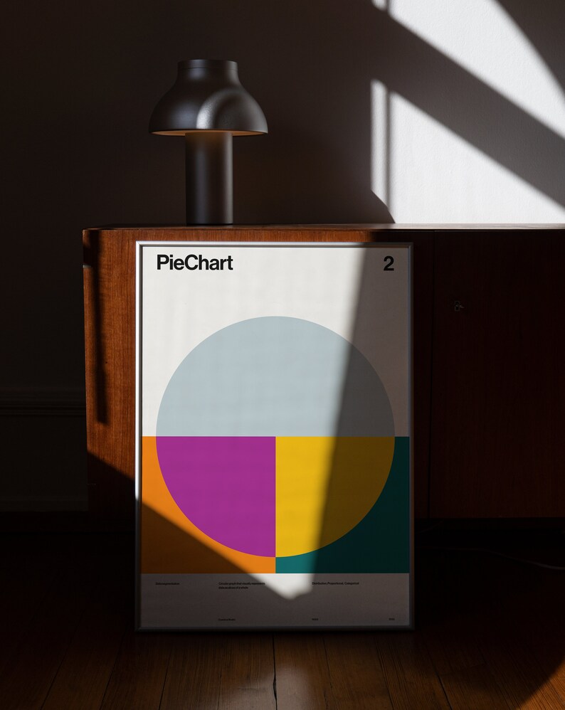 The Basics of Visualizing Dataviz: 002 Pie Chart Poster - Etsy