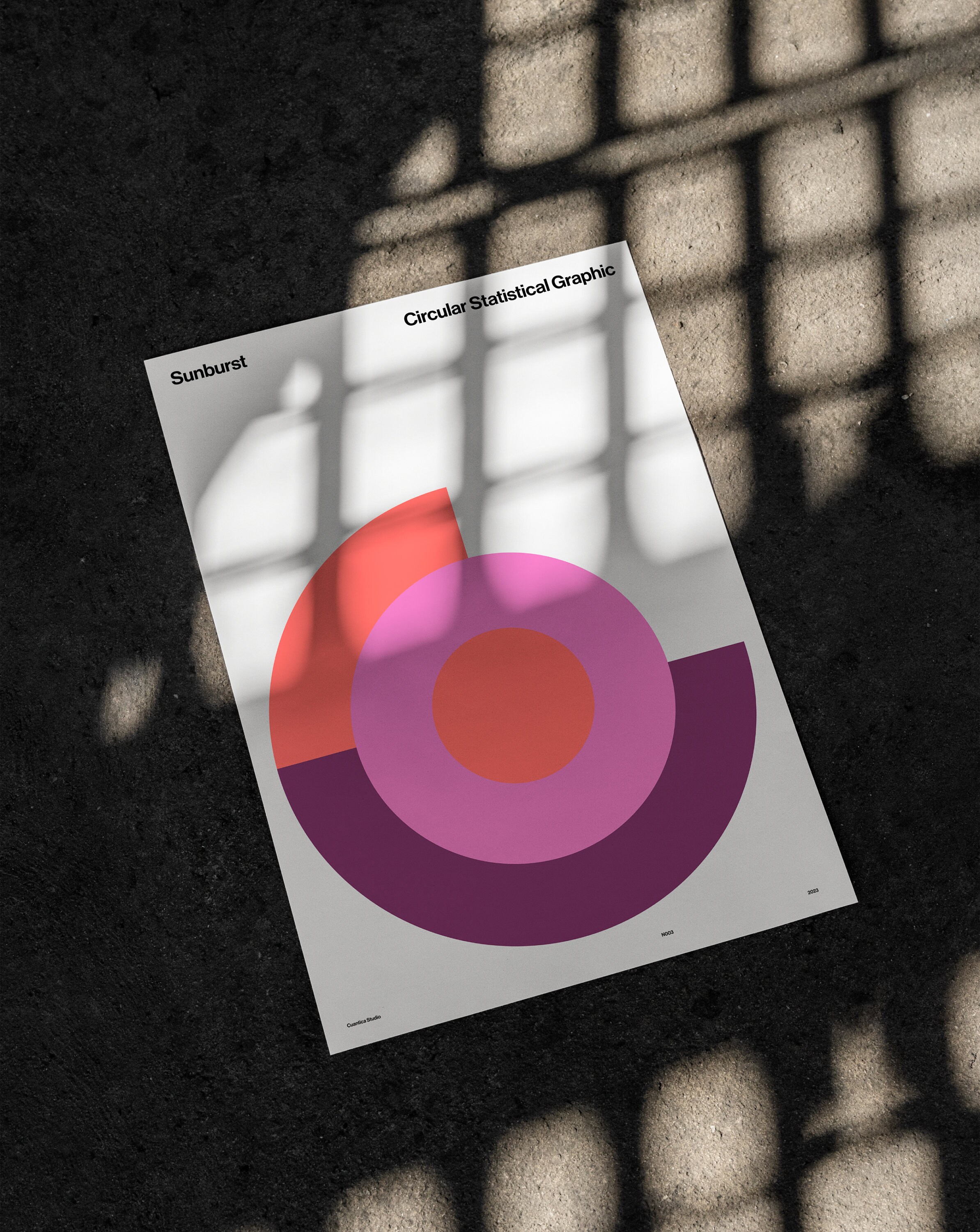 The Basics of Visualizing Dataviz: 003 sunburst Chart Poster - Etsy