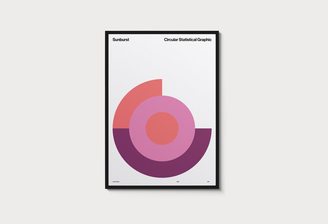 The Basics of Visualizing Dataviz: 003 "sunburst" Chart Poster - Etsy