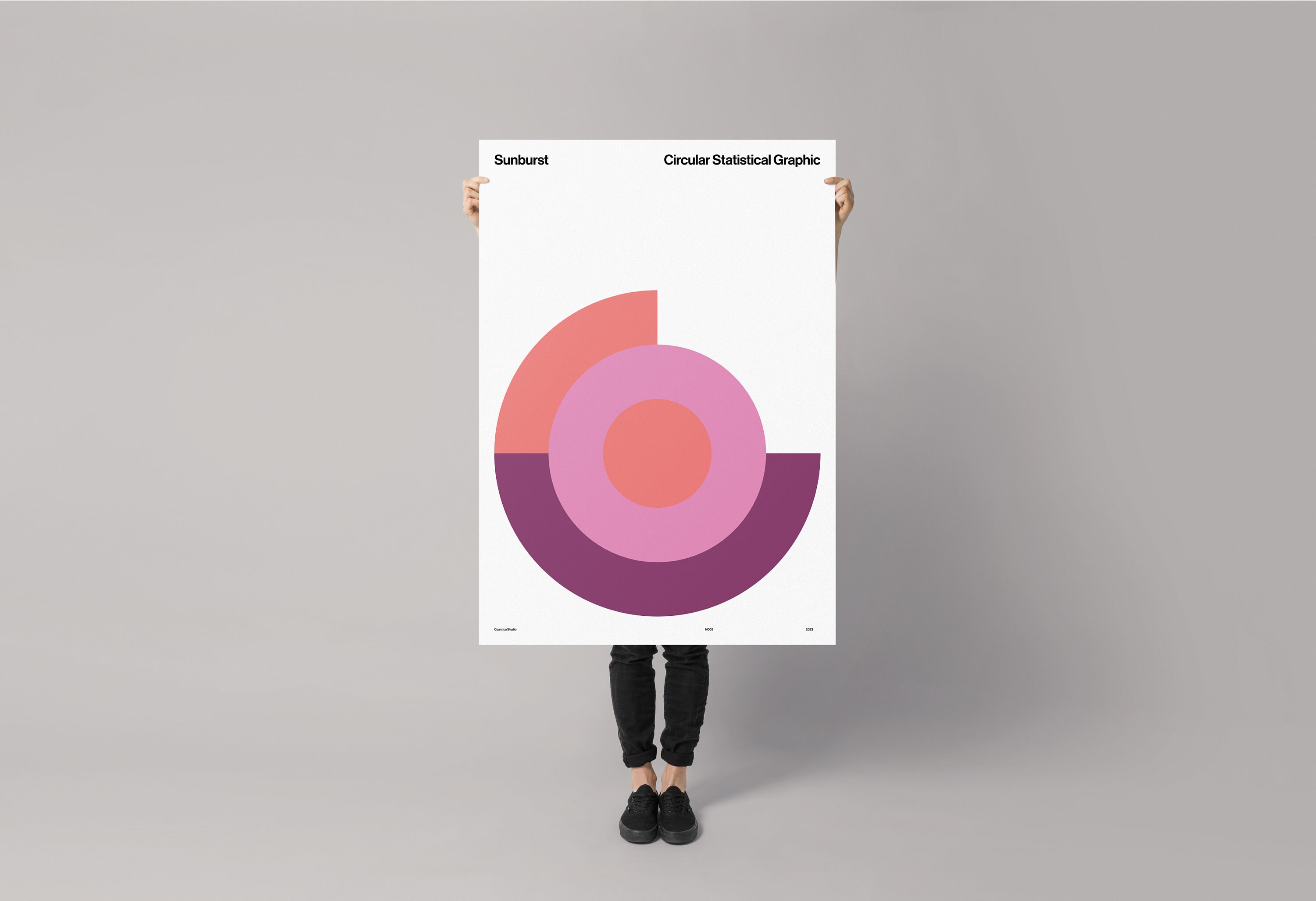 The Basics of Visualizing Dataviz: 003 sunburst Chart Poster - Etsy